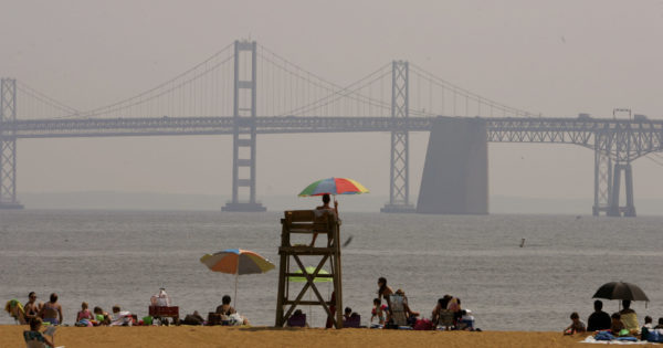 ‘Chonkosaurus,’ plump Chicago snapping turtle, goes viral [Video] - The ...