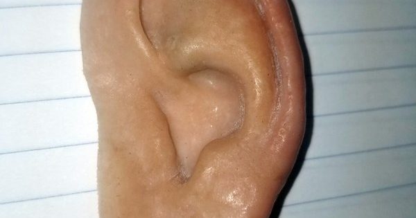 [Crazy!] Police on the hunt to return an EAR to owner - The Horn News