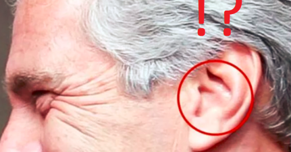 Jeffrey Epstein suicide rocked by bombshell picture - The Horn News