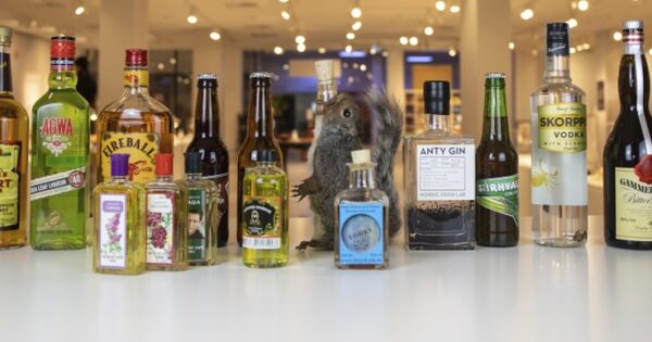 Could you stomach these "disgusting-themed" drinks? - The Horn News