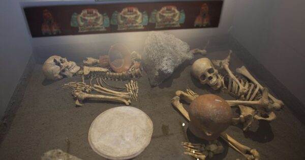 Archaeologists uncover oldest known face fossil of a human - The Horn News
