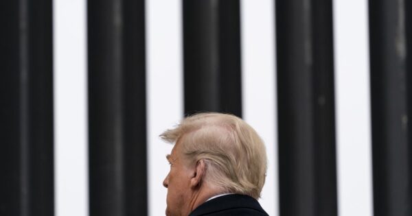 Donald Trump's new hairstyle stuns fans, goes viral - The Horn News