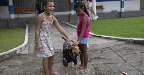 In Rio, dogs watch out for their rescuers - The Horn News