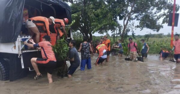 New tropical storm forms over the Pacific - The Horn News
