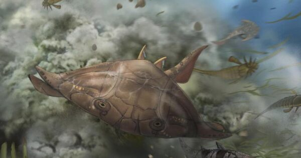 Oldest teeth ever found in this fish fossil - The Horn News