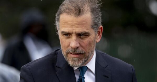 Hunter Biden just joined Gavin Newsom's political team - The Horn News
