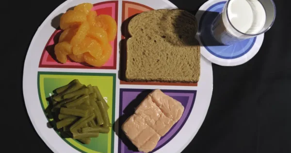 MyPlate replaced food pyramid, but few Americans know - The Horn News