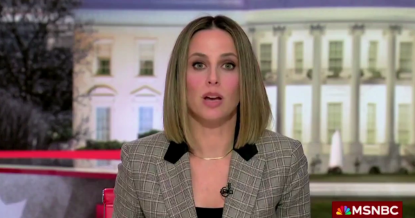 Awkward! Sen. Bob Menendez' daughter humiliated on live TV - The Horn News