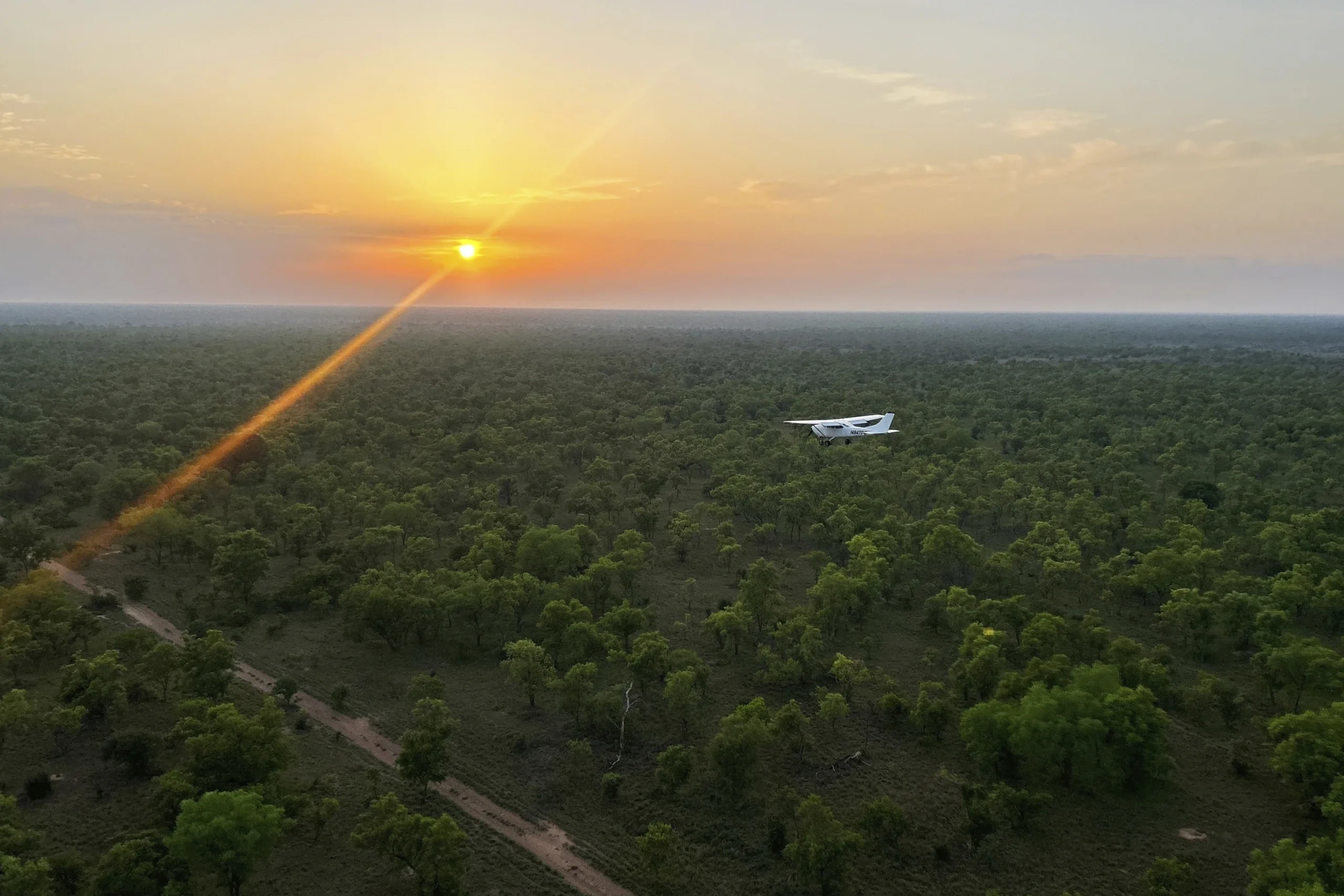 South Sudan boasts 6 million antelope migration [pic] - The Horn News