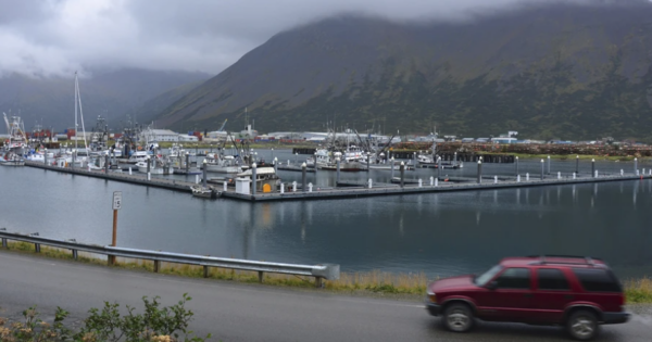 Alaska tsunami warning issued after 7.3 magnitude earthquake - The Horn ...